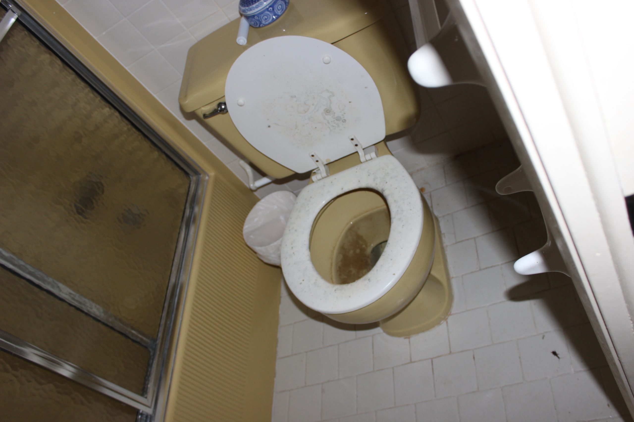 Mold Damage Insurance Claims | United Claims Specialists Mold Damage Insurance Claims | United Claims Specialists